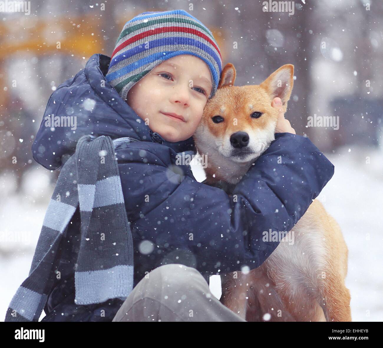 boy and a cute dog concept of friendship Stock Photo - Alamy