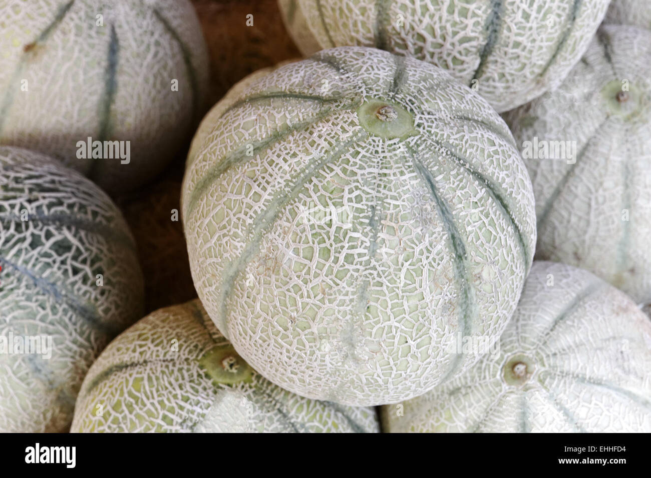 Netzmelone hi-res stock photography and images - Alamy