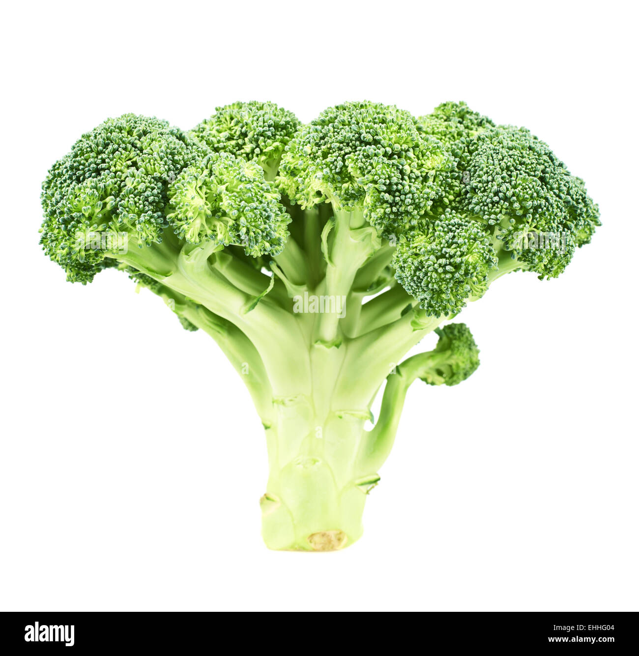 Green broccoli isolated Stock Photo - Alamy