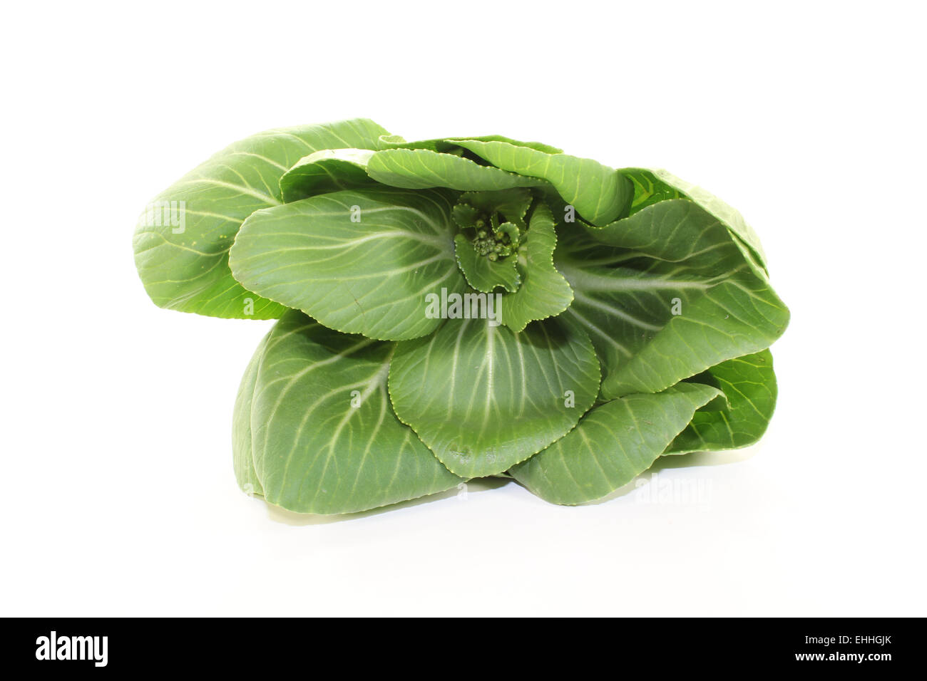 Baby leaf pak choi Cut Out Stock Images & Pictures - Alamy