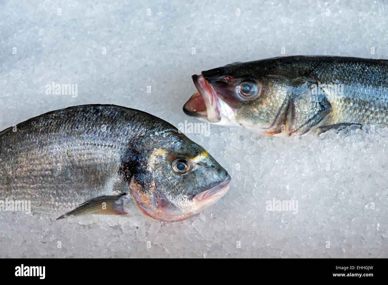 Fresh fish on ice Stock Photo - Alamy