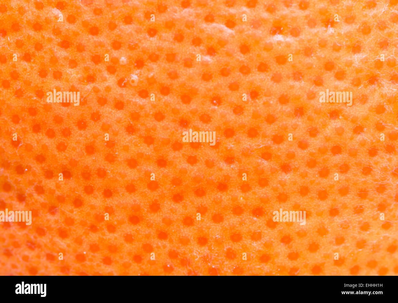 Orange Skin Texture