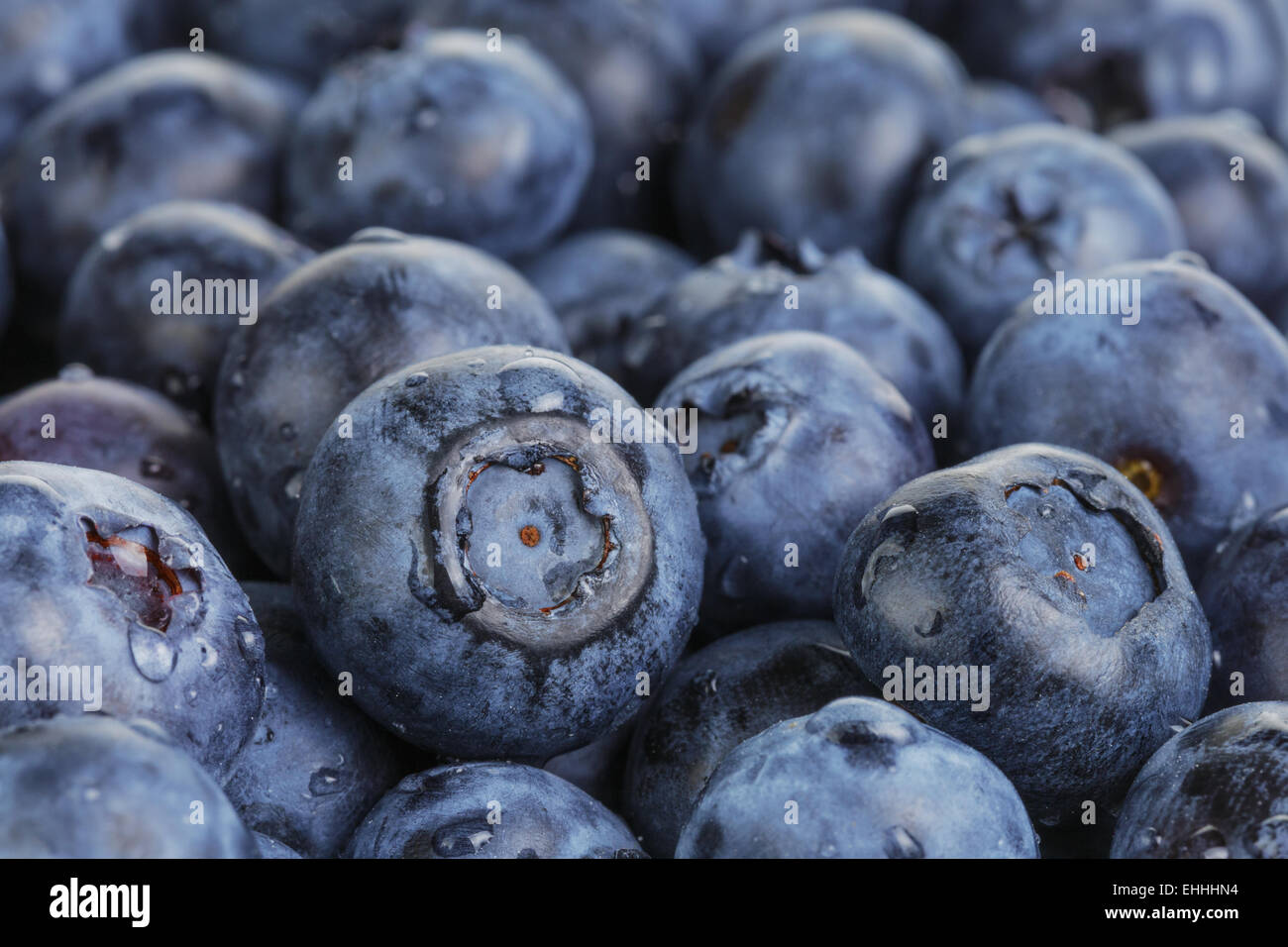 Washed wet hi-res stock photography and images - Alamy