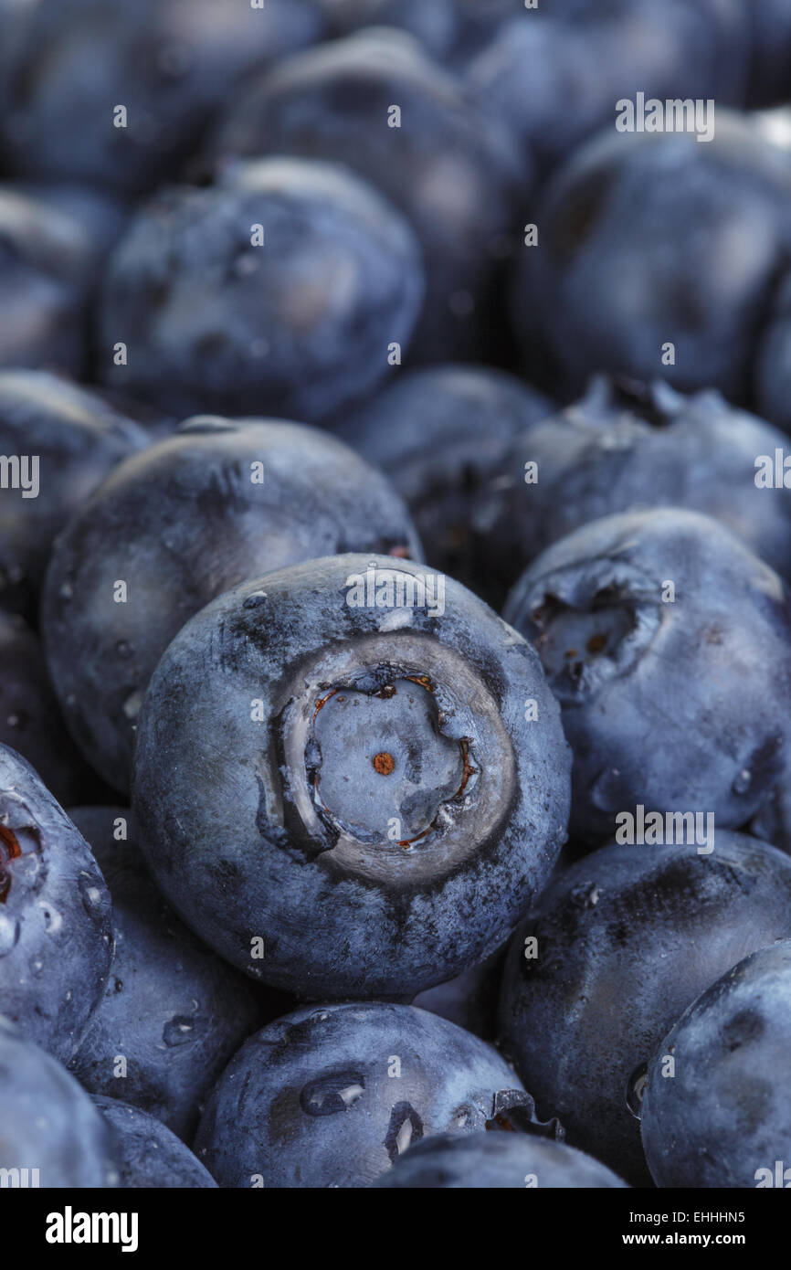 fresh washed wet blueberries Stock Photo - Alamy