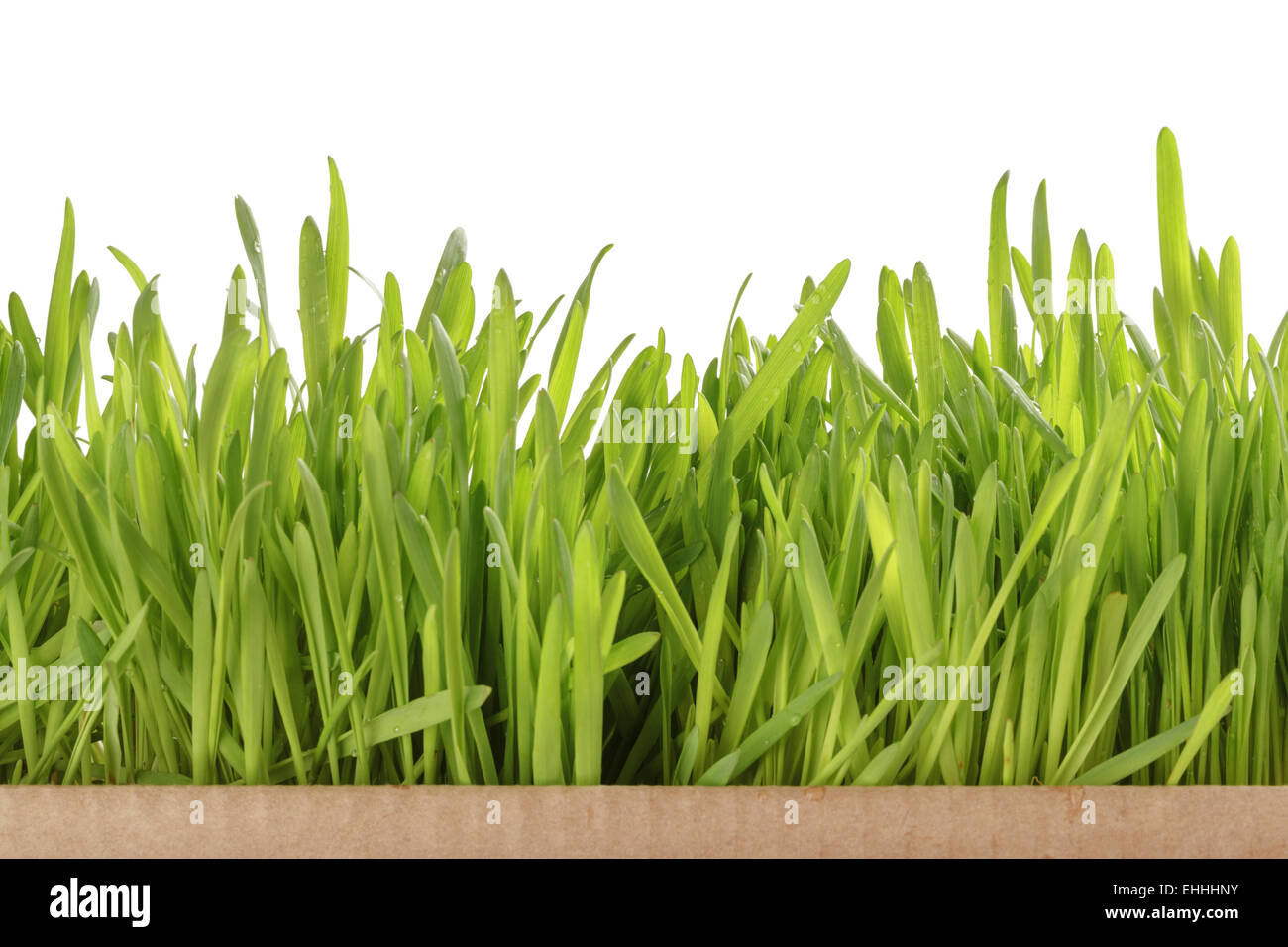 Fresh food border hi-res stock photography and images - Alamy