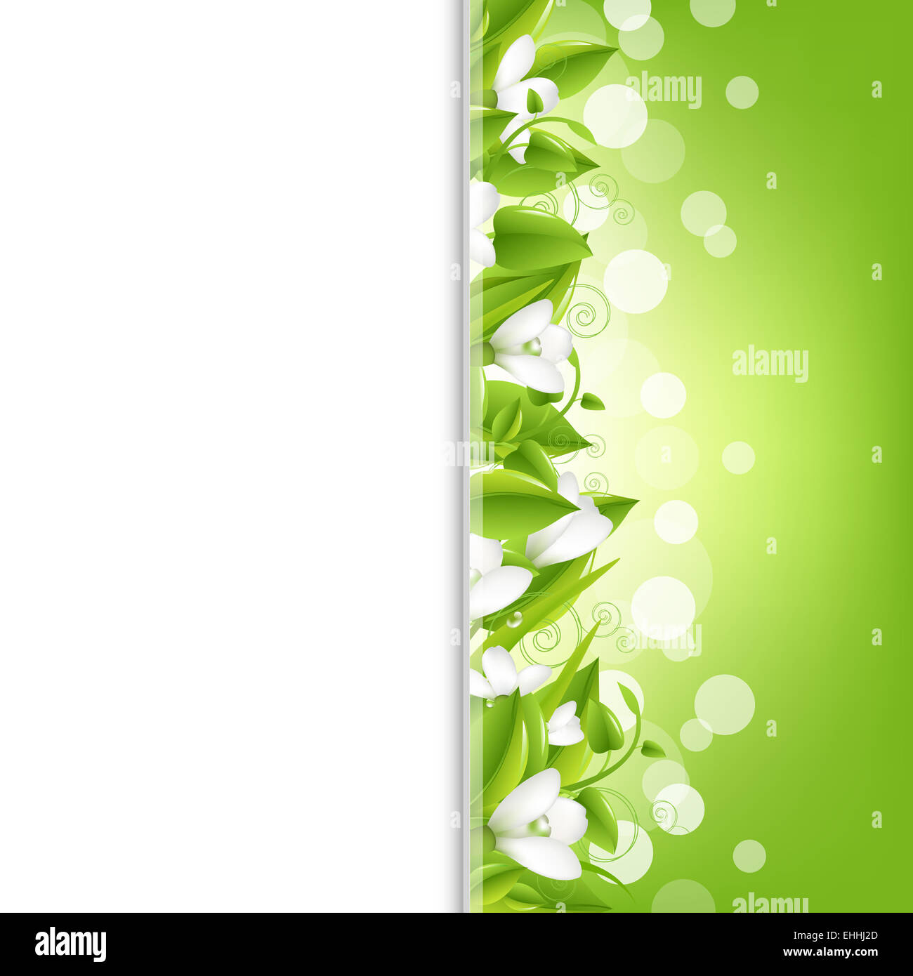 Border With Snowdrops And Leaf Stock Photo - Alamy