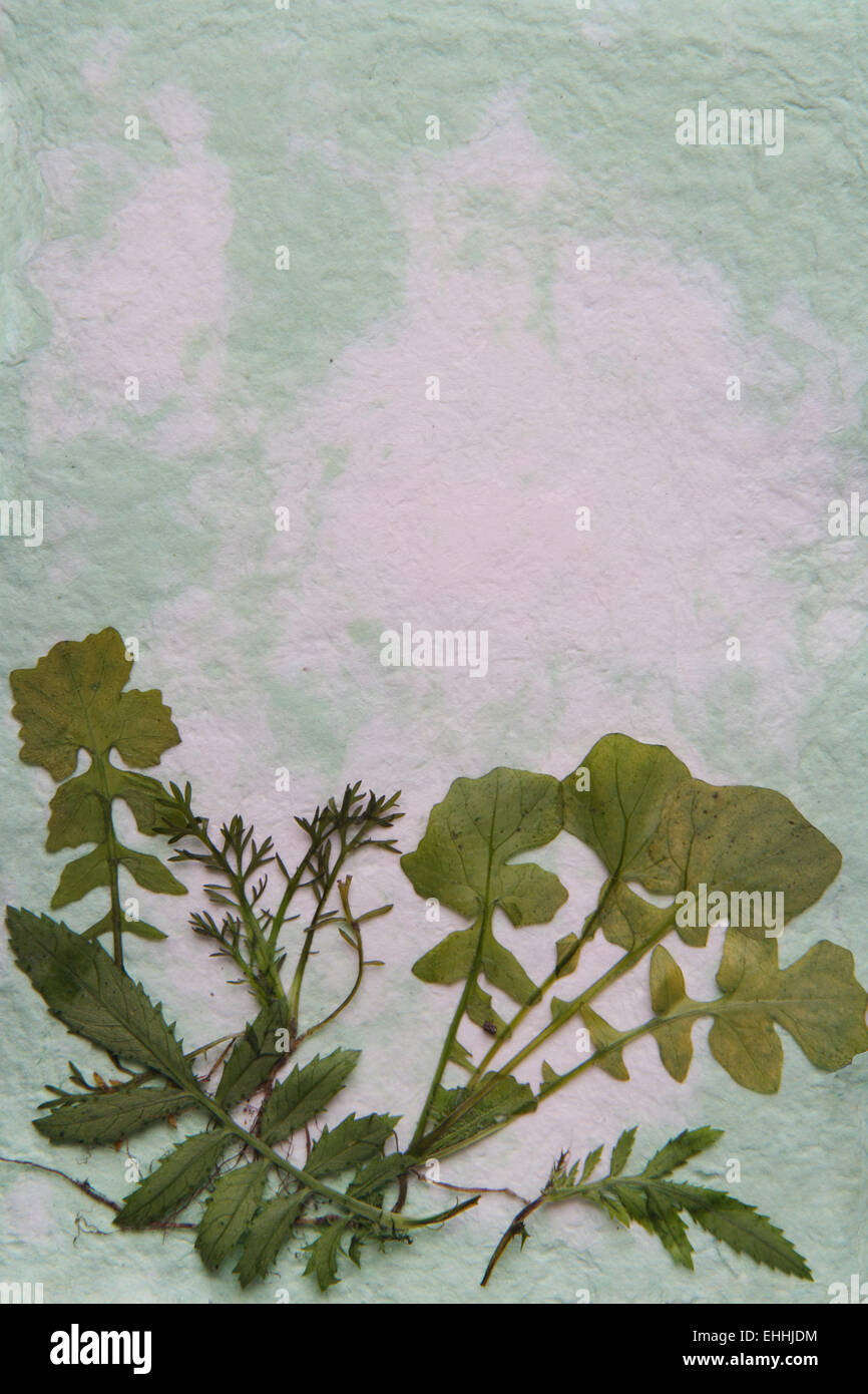 Hand made paper Stock Photo - Alamy