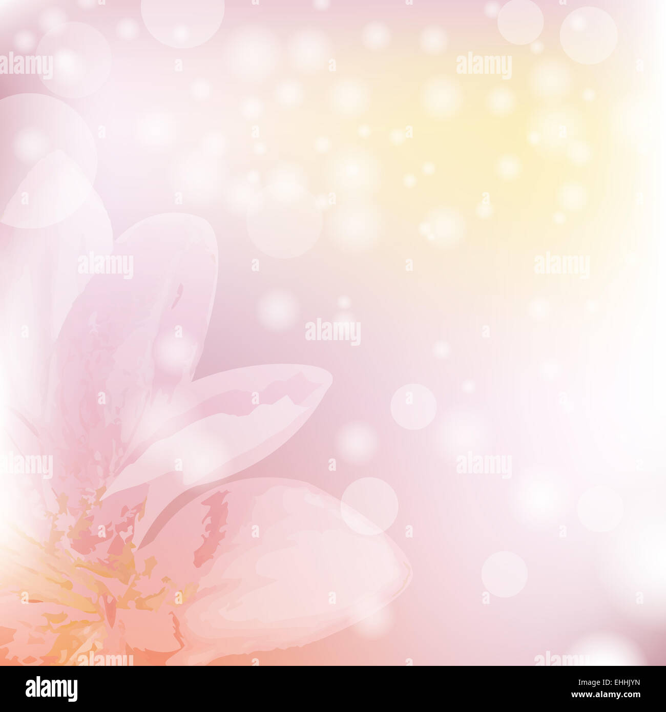 Lilia Flower High Resolution Stock Photography and Images - Alamy