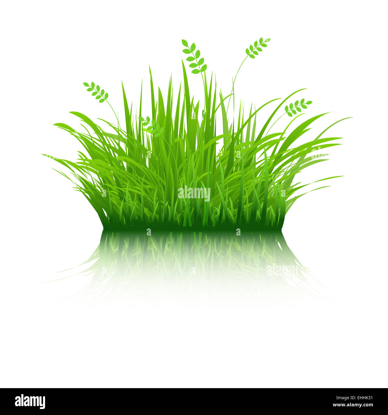 Thick damp grass Cut Out Stock Images & Pictures - Alamy