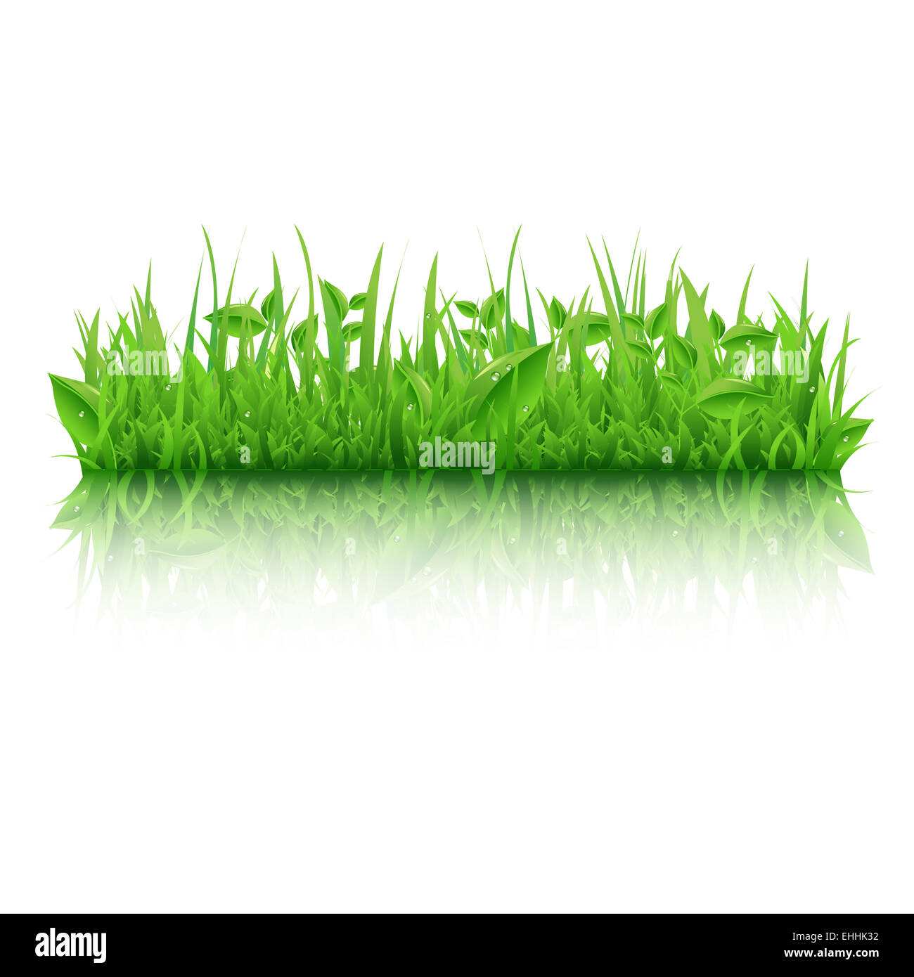Green Grass With Leafs Stock Photo - Alamy