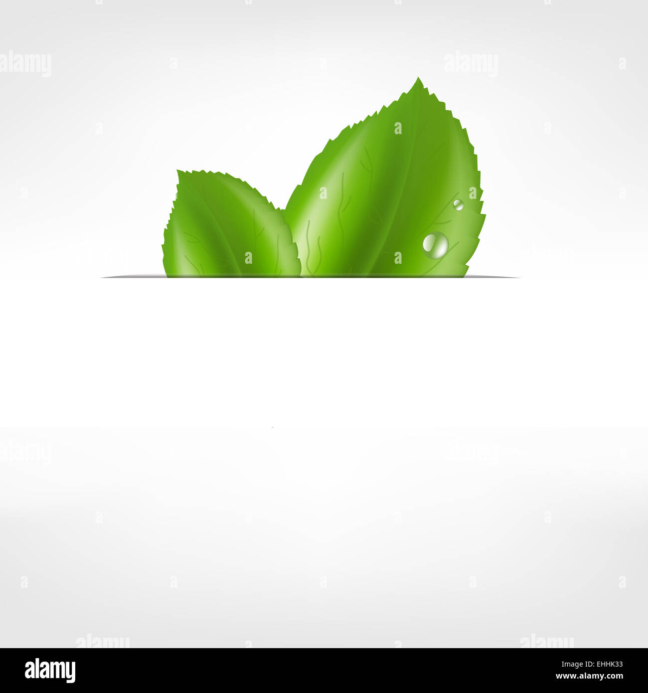 Eco leaf hi-res stock photography and images - Alamy