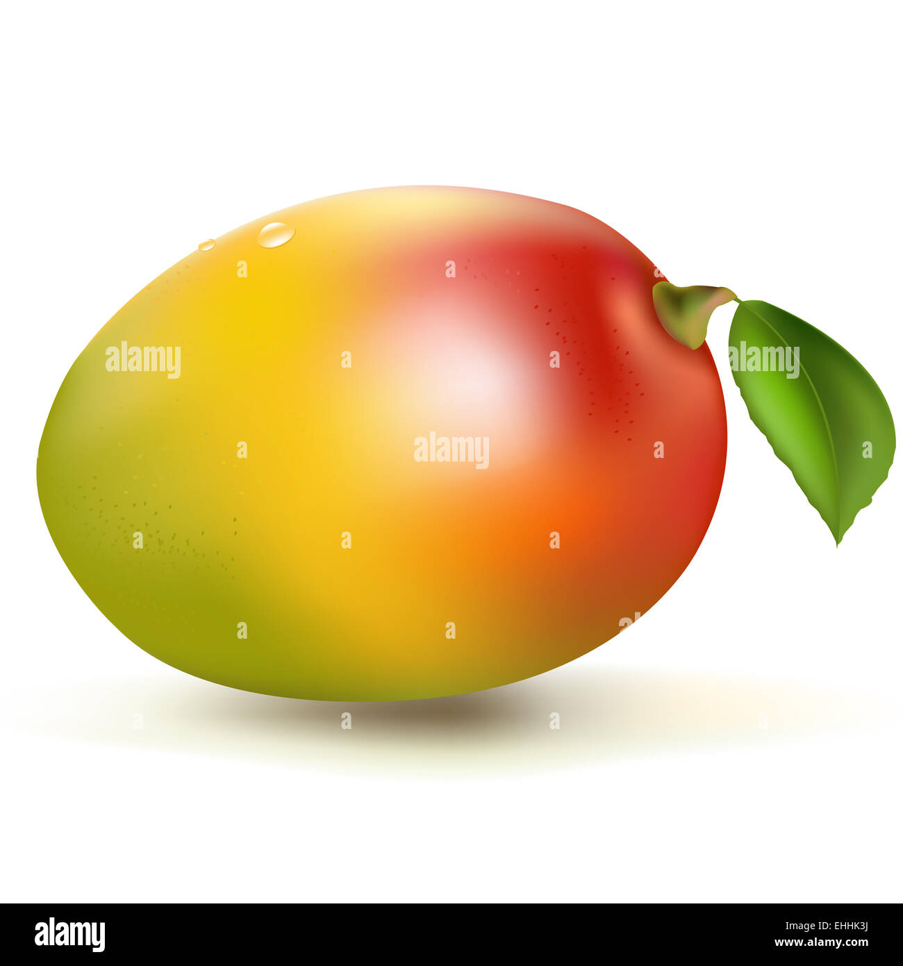 Very good mango plant hi-res stock photography and images - Alamy