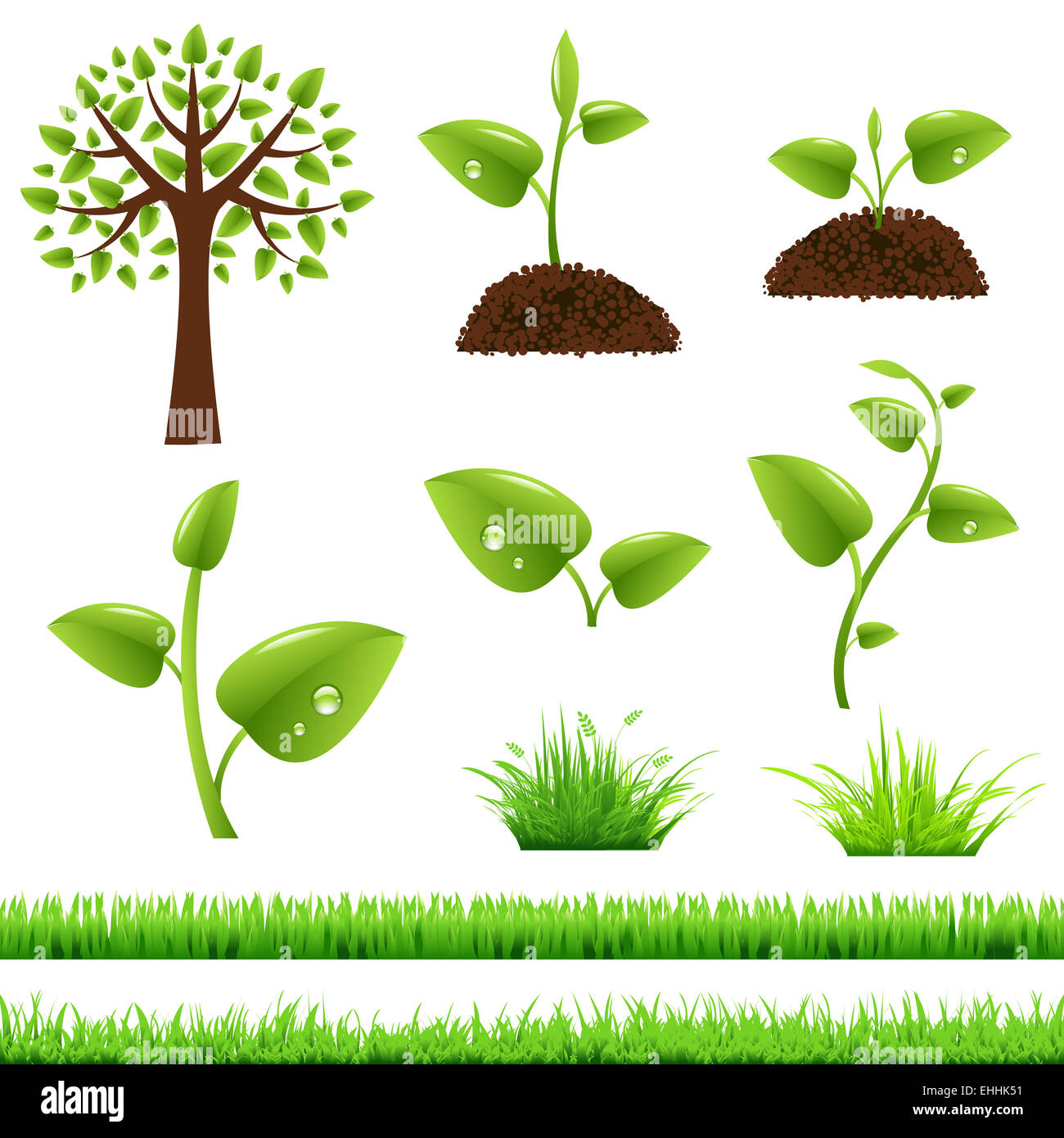 Green Grass And Leafs Set Stock Photo - Alamy