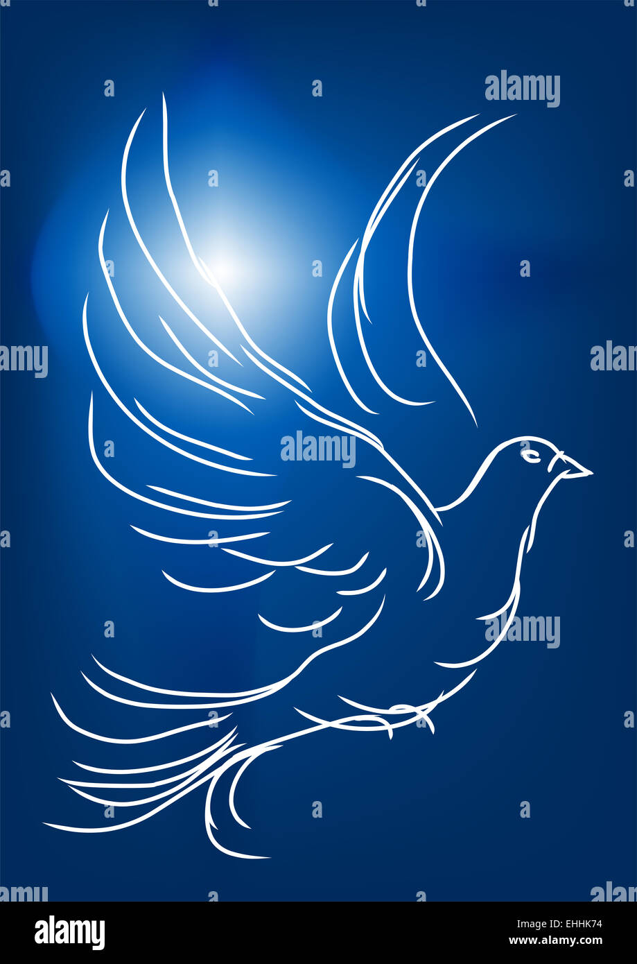 White dove flying blue sky hi-res stock photography and images - Alamy