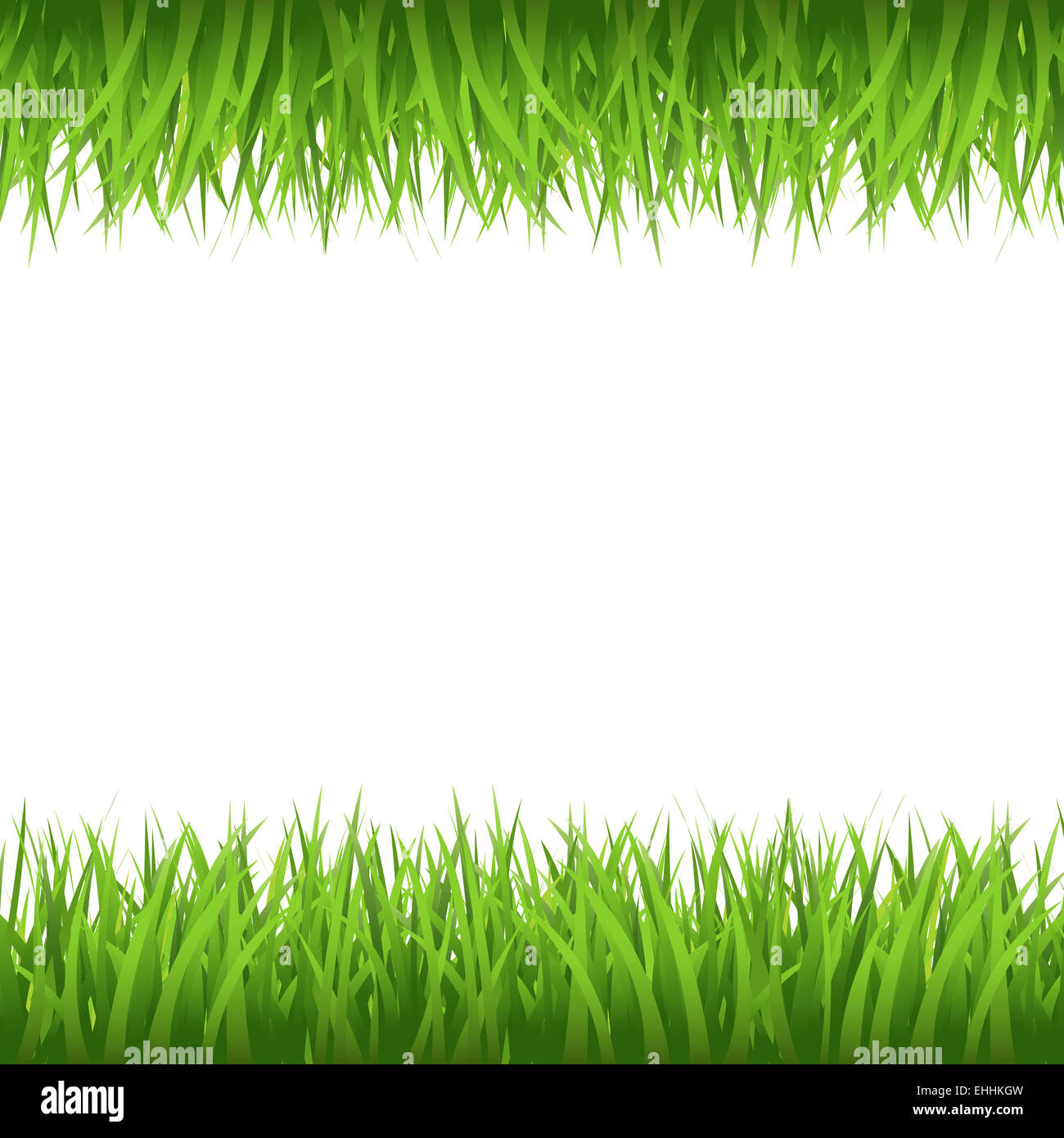 Lawn border close up hi-res stock photography and images - Alamy