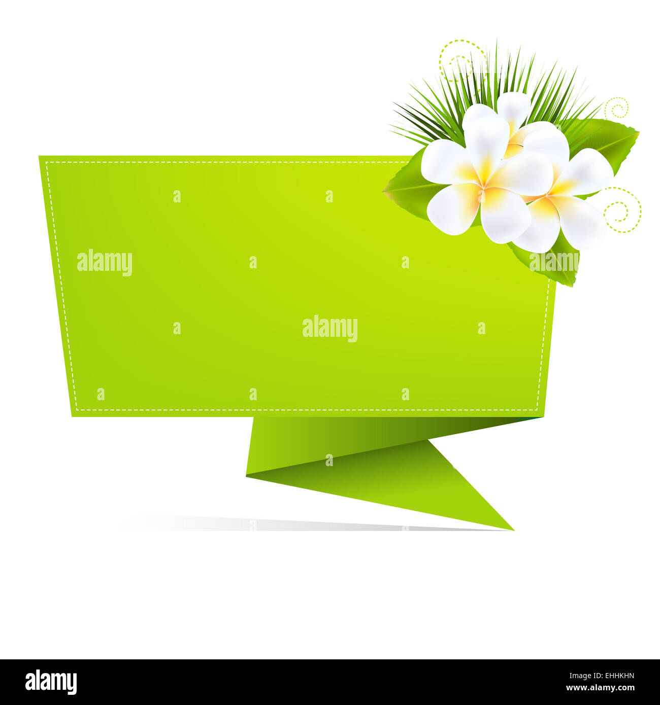 Frangipani vector Cut Out Stock Images & Pictures - Alamy