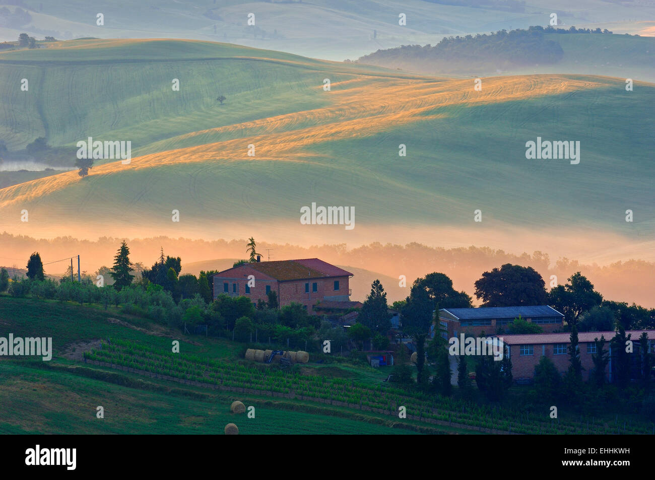 Val d'Orcia. Orcia Valley at dawn. Morning fog. UNESCO World Heritage ...
