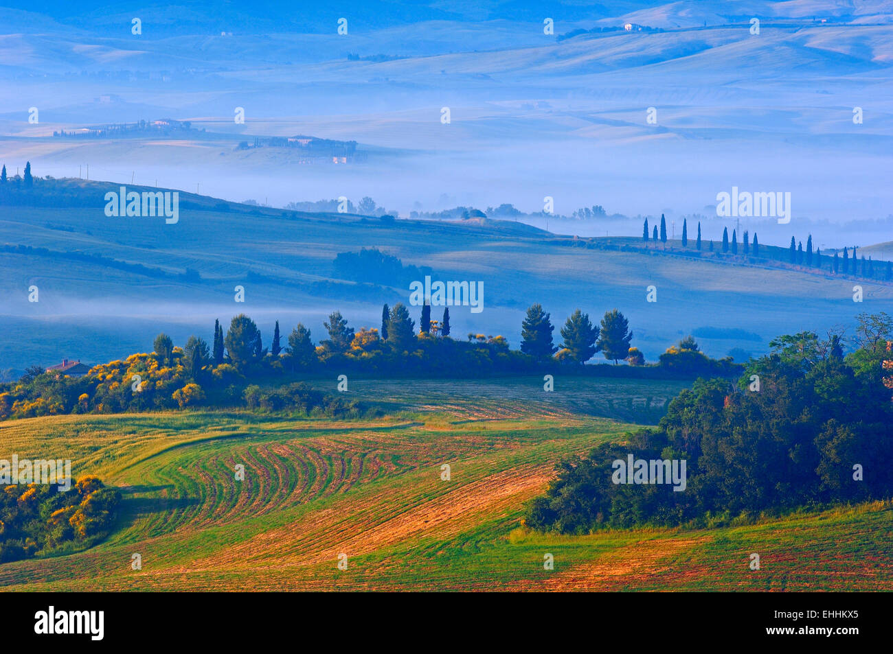 Val d'Orcia. Orcia Valley at dawn. Morning fog. UNESCO World Heritage ...