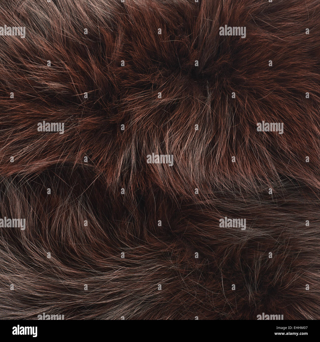 Brown fur texture Stock Photo - Alamy