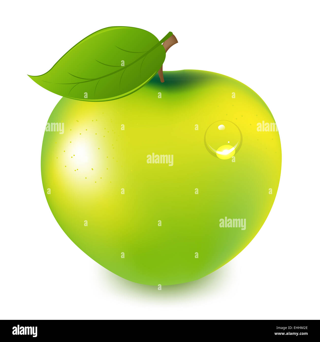 Green color drop Cut Out Stock Images & Pictures - Alamy