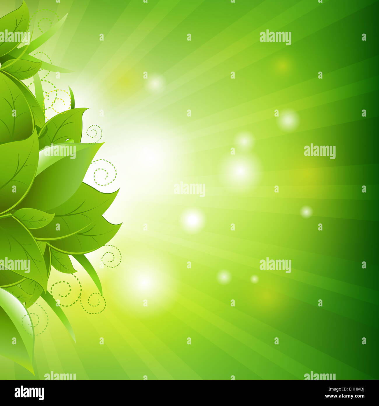 Distorted leaves hi-res stock photography and images - Alamy