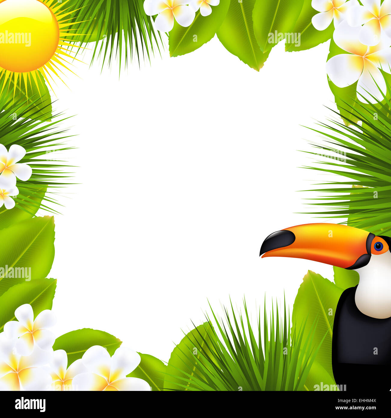 Tropical elements hi-res stock photography and images - Alamy