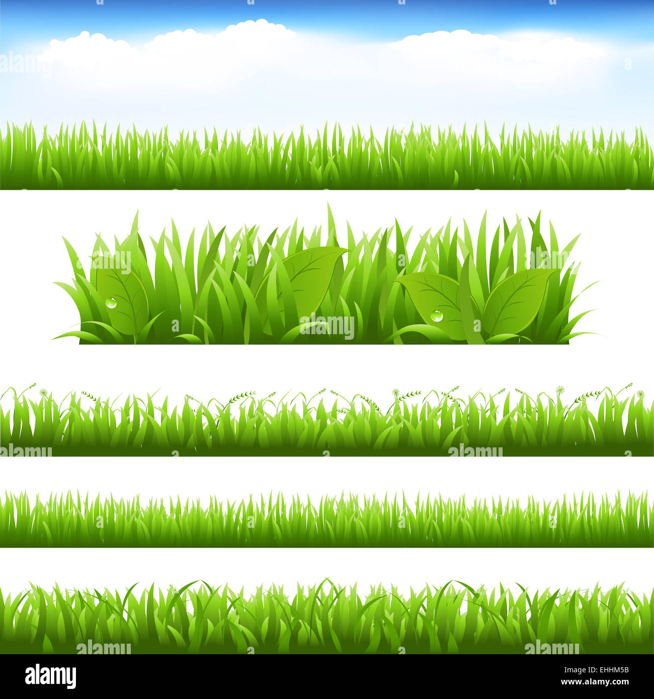 Green Grass And Leafs Set Stock Photo - Alamy