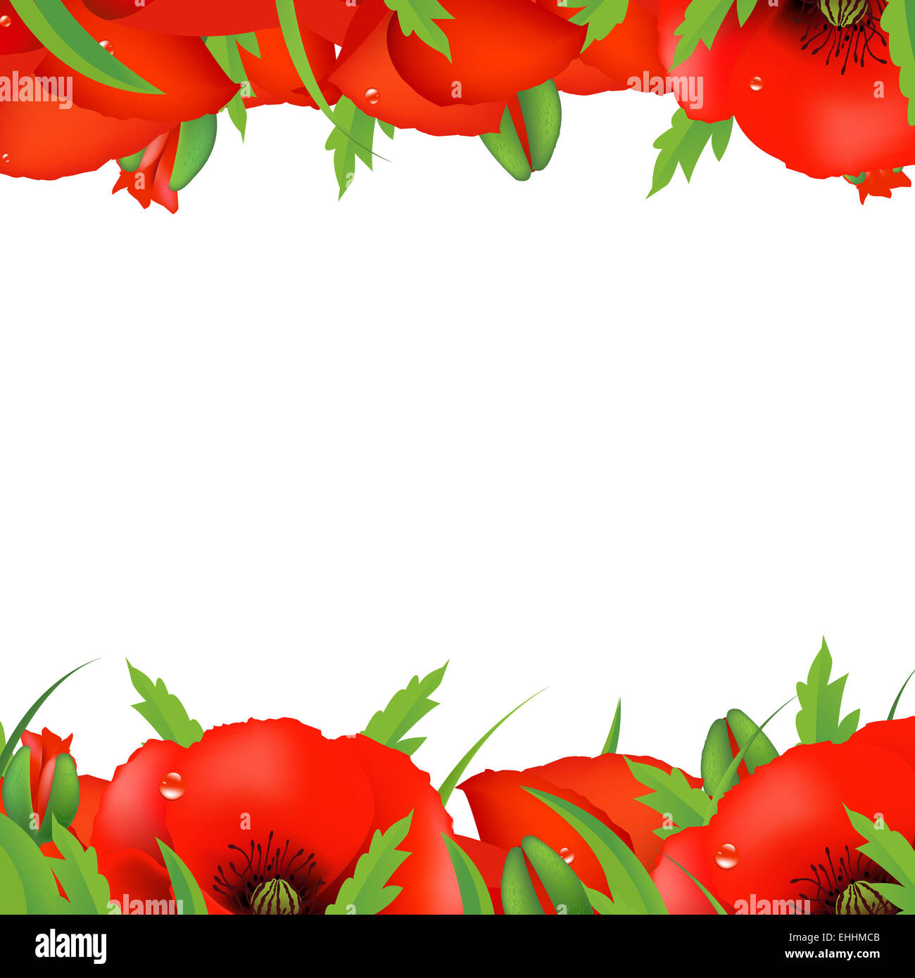 Red Poppy Border Stock Photo - Alamy