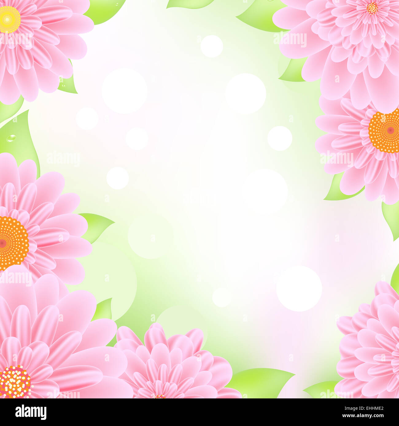 Pink Gerbers Frame Stock Photo - Alamy