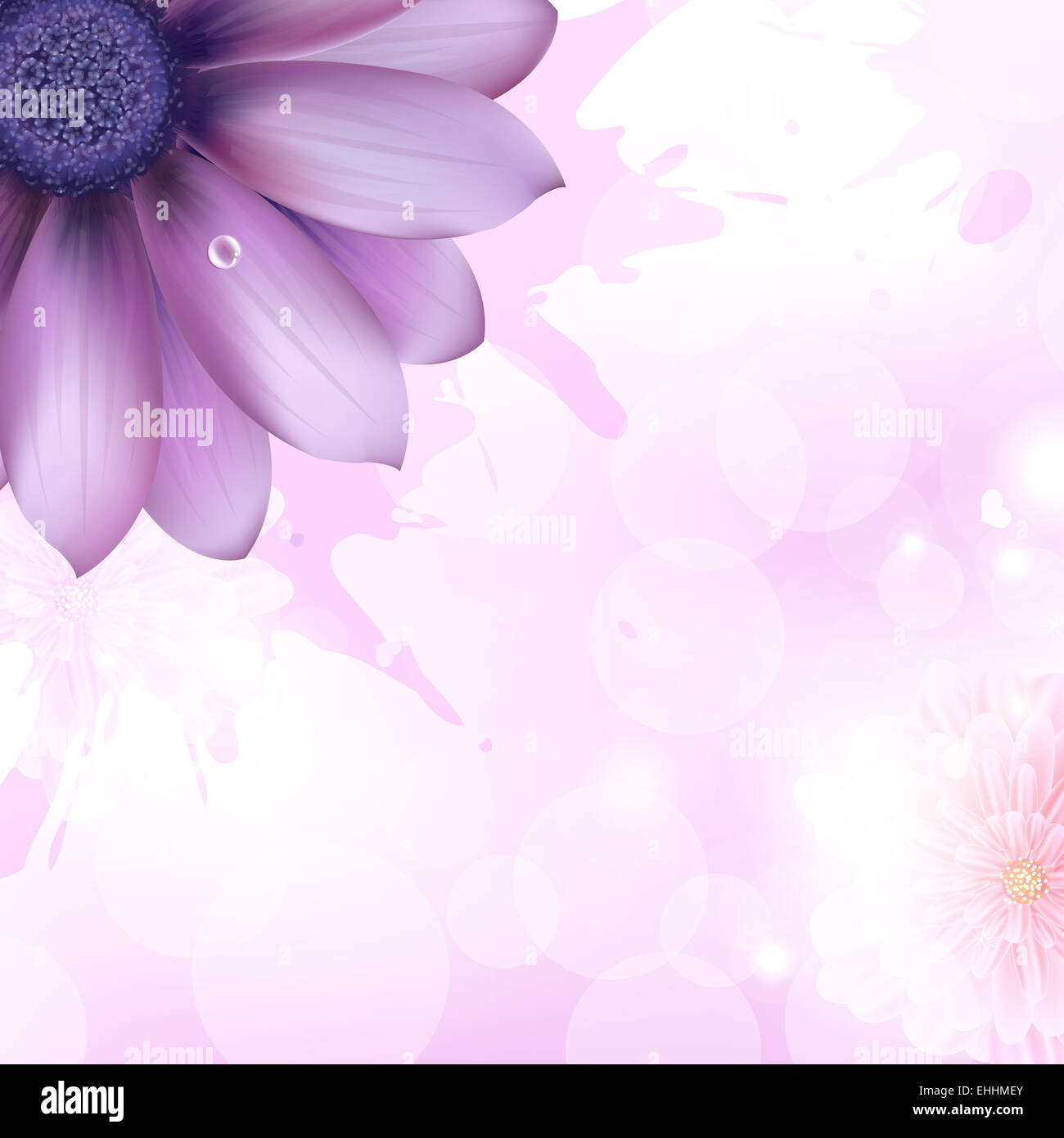 Lilac Gerbers And Paint Splash Stock Photo - Alamy