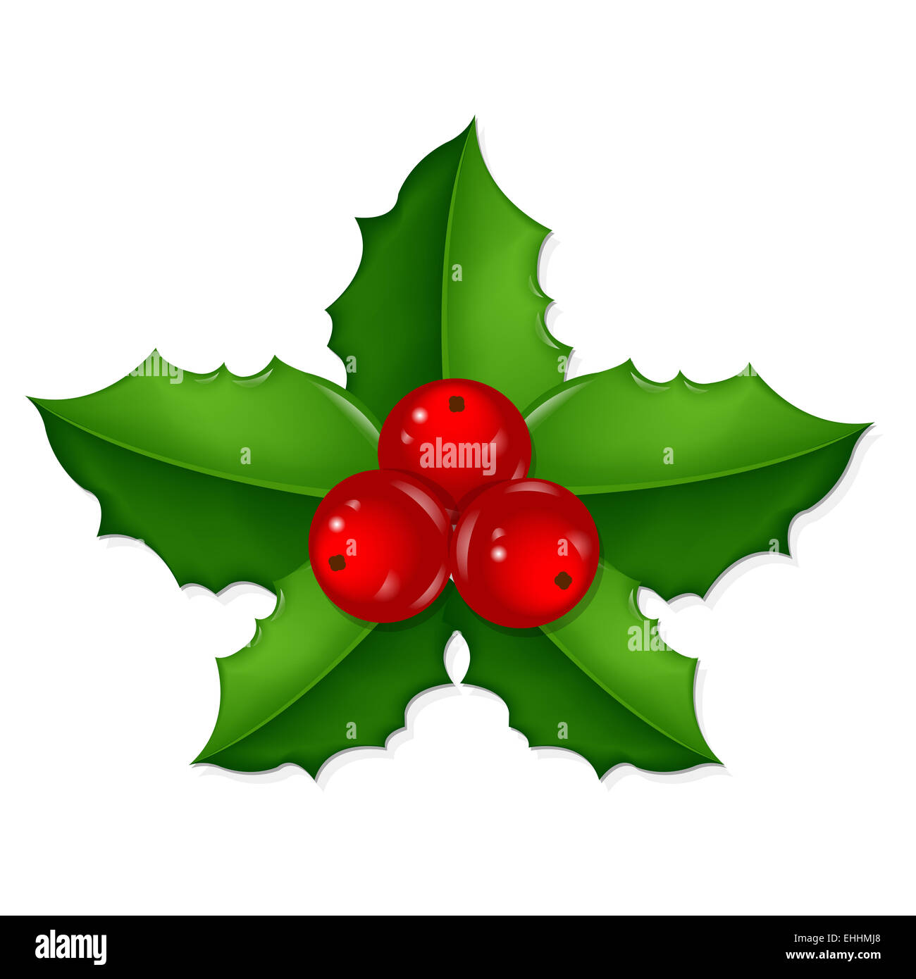 American holly shrub hi-res stock photography and images - Alamy