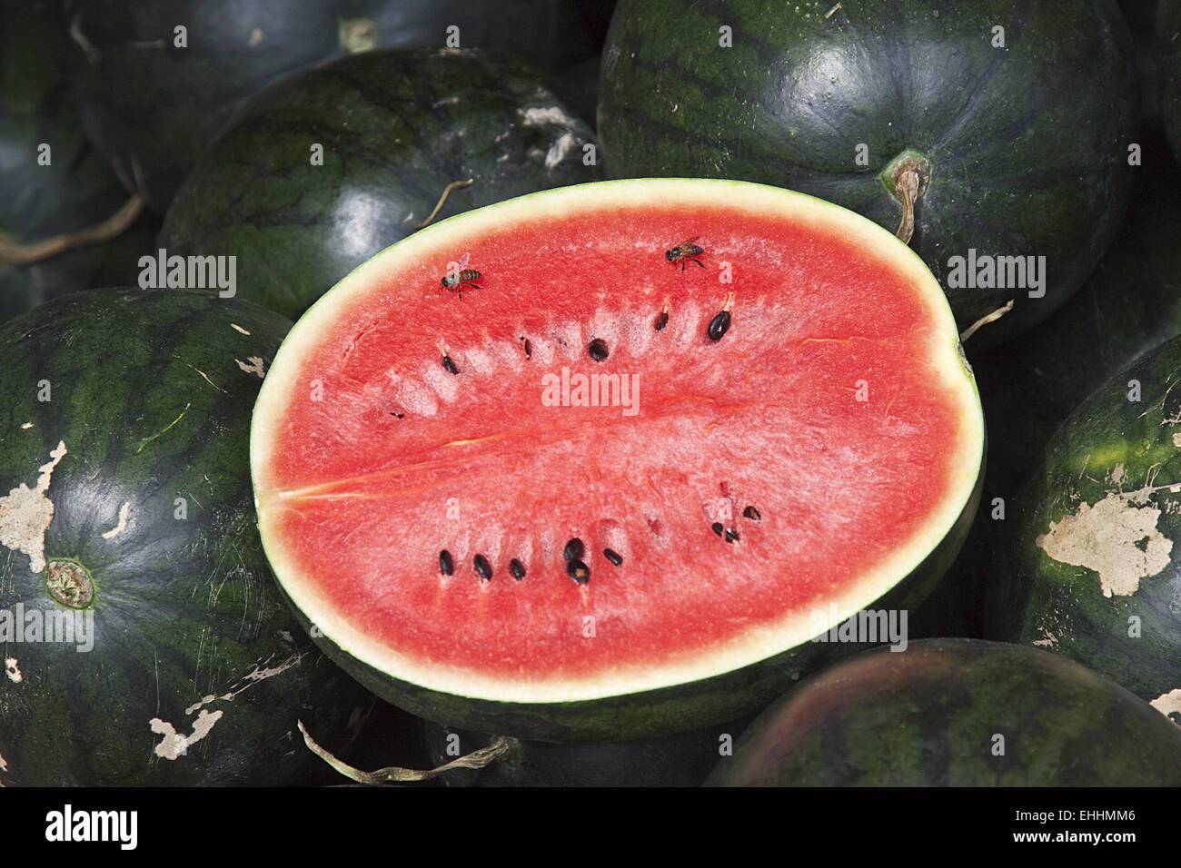 Melon types hi-res stock photography and images - Alamy