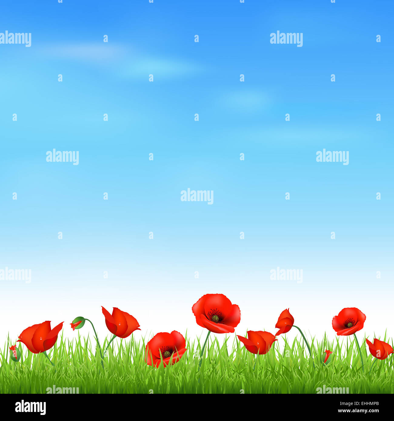 Landscape With Grass And Poppy Stock Photo - Alamy