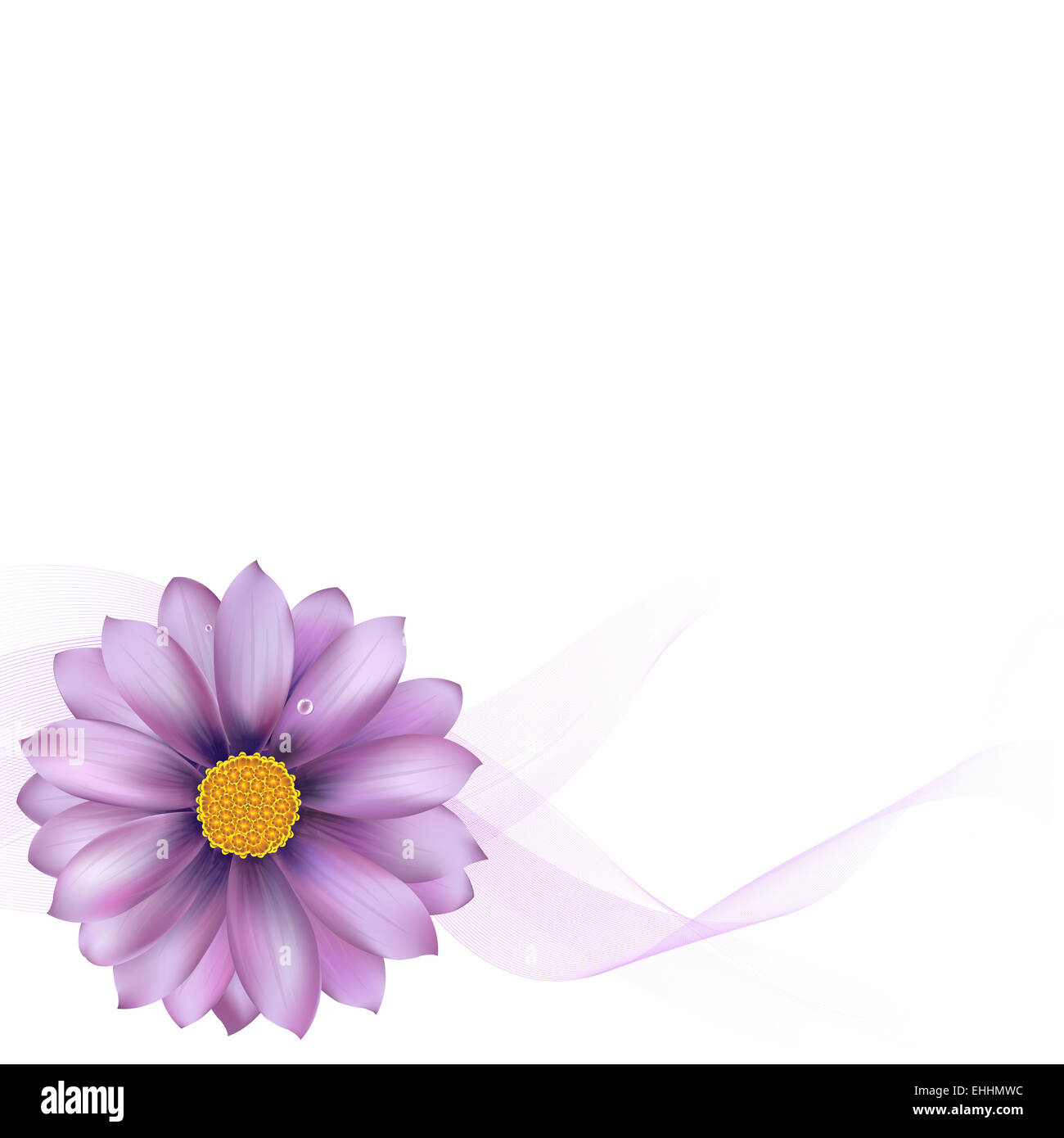Background blur beautiful purple Cut Out Stock Images & Pictures - Alamy