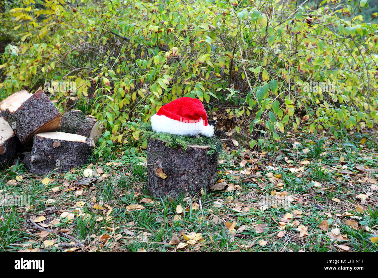 Santa's cap on a stump Stock Photo - Alamy