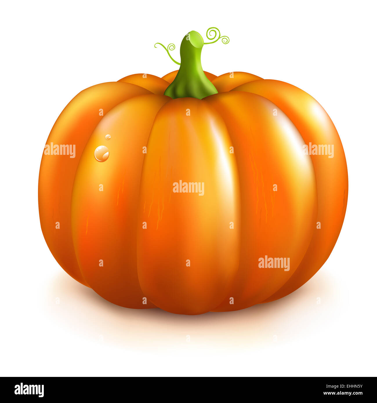 Season 5th Cut Out Stock Images & Pictures - Alamy