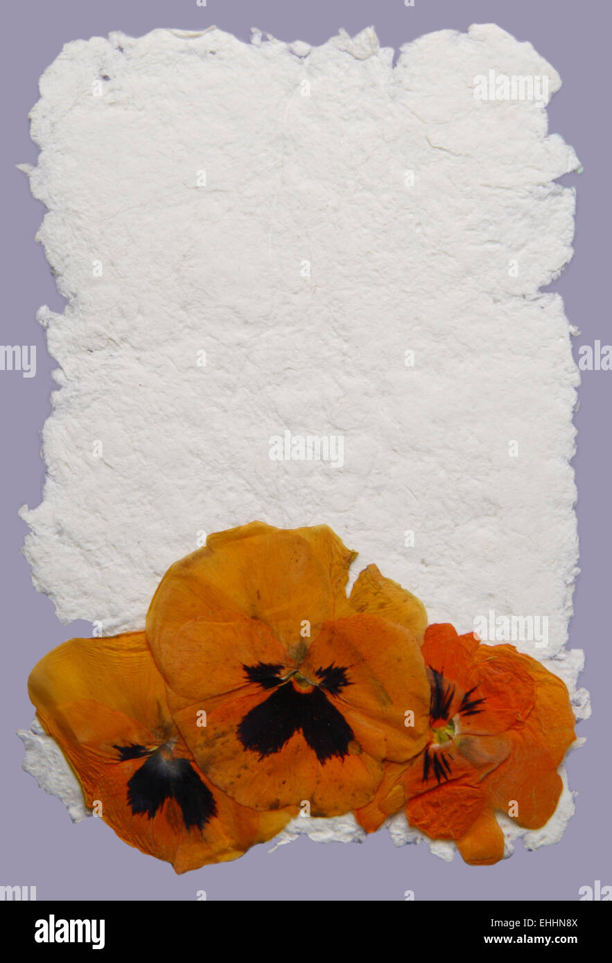 Hand made paper Stock Photo - Alamy