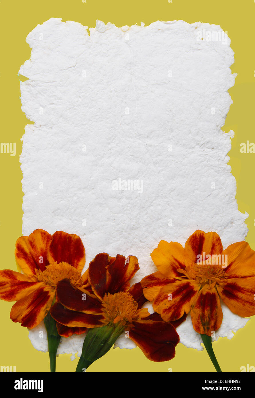 Hand made paper Stock Photo - Alamy