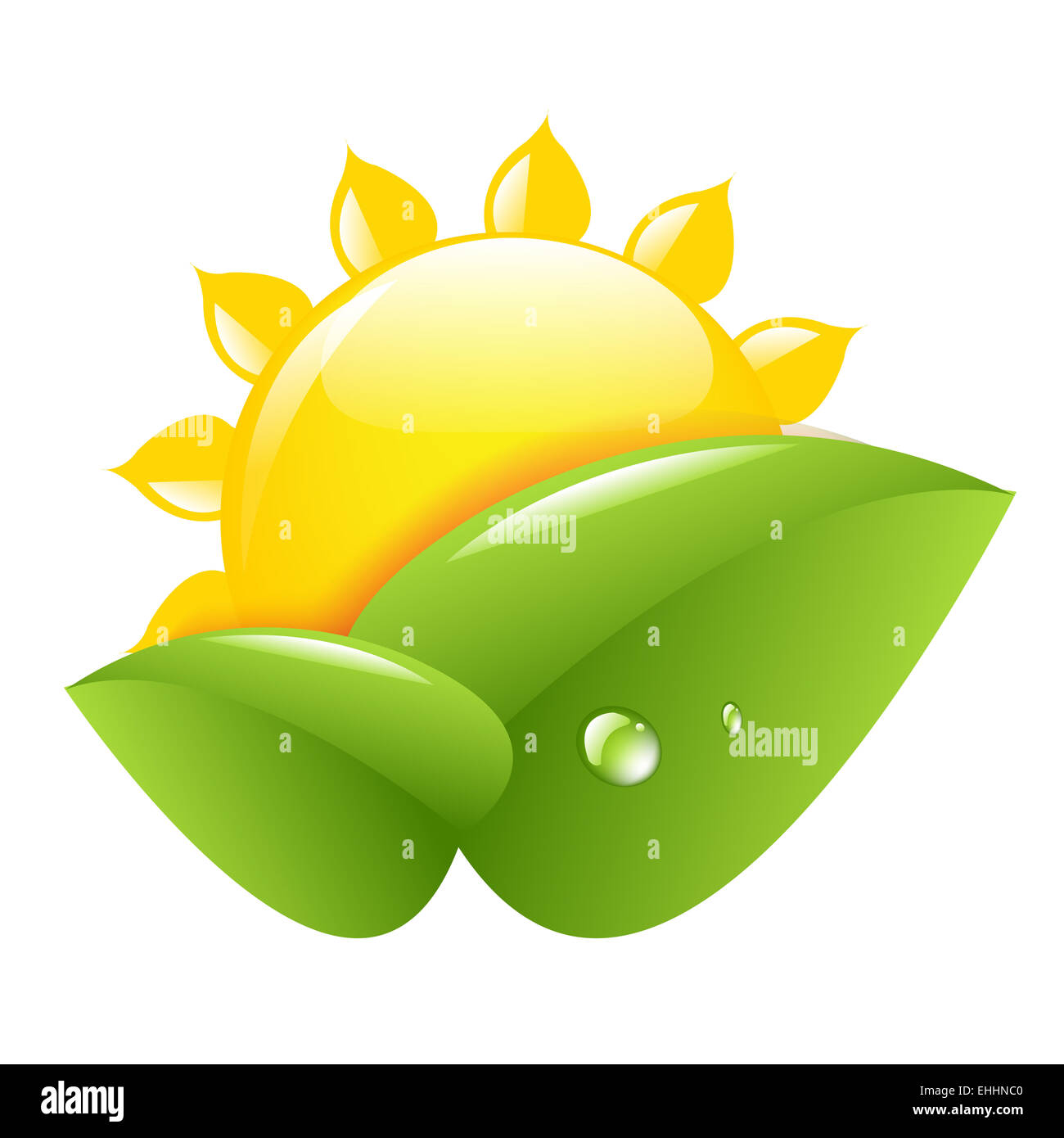 M with leaf Cut Out Stock Images & Pictures - Alamy