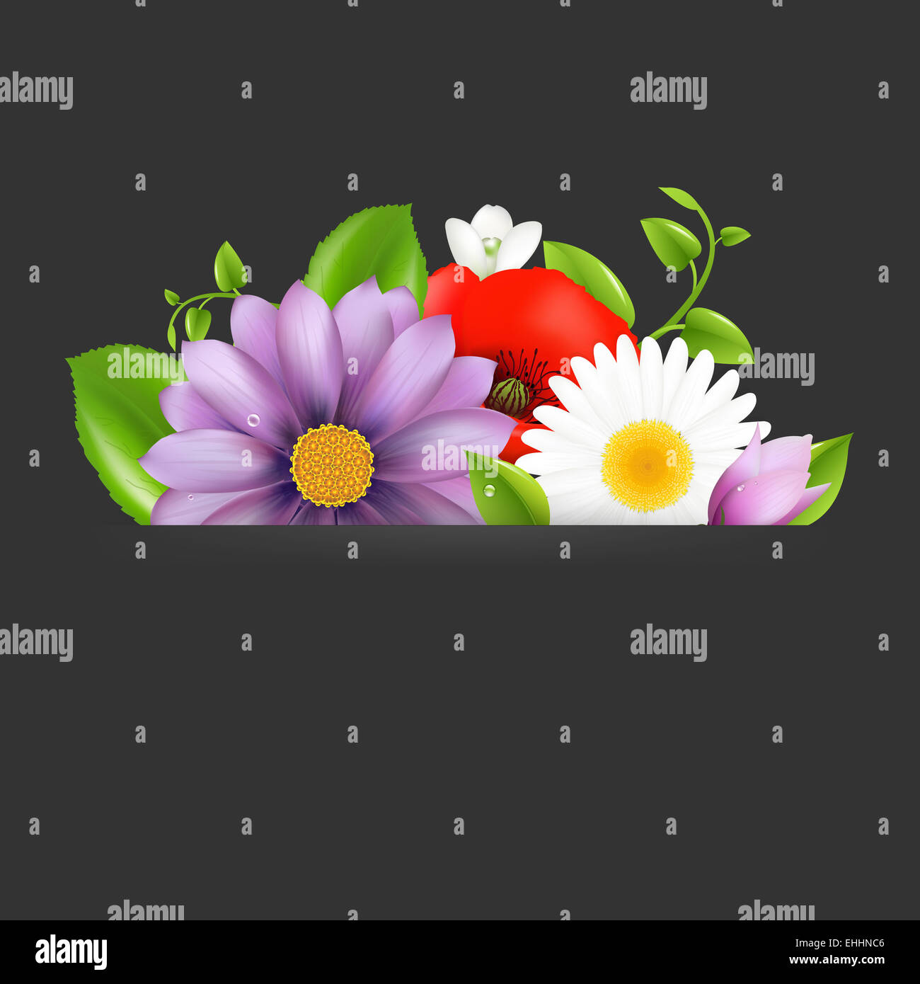 Flower divider hi-res stock photography and images - Alamy