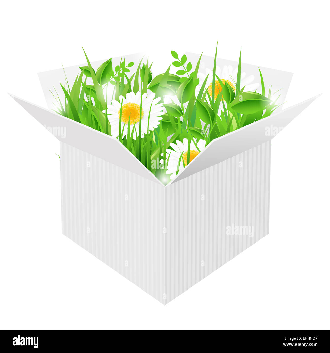 White Box With Grass Stock Photo - Alamy