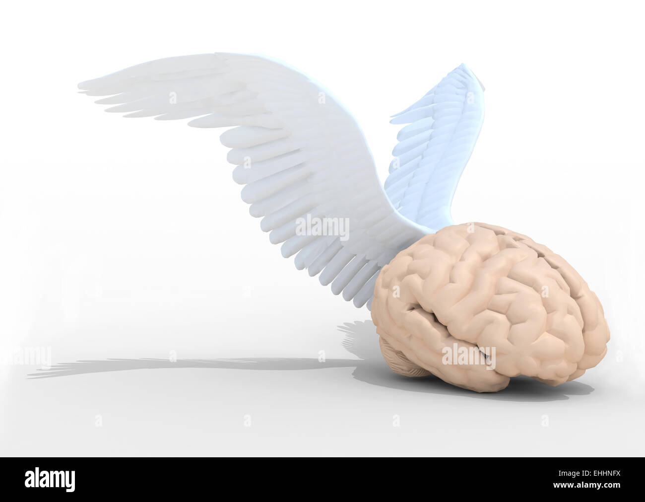 Flying brain white wings 3d hi-res stock photography and images - Alamy