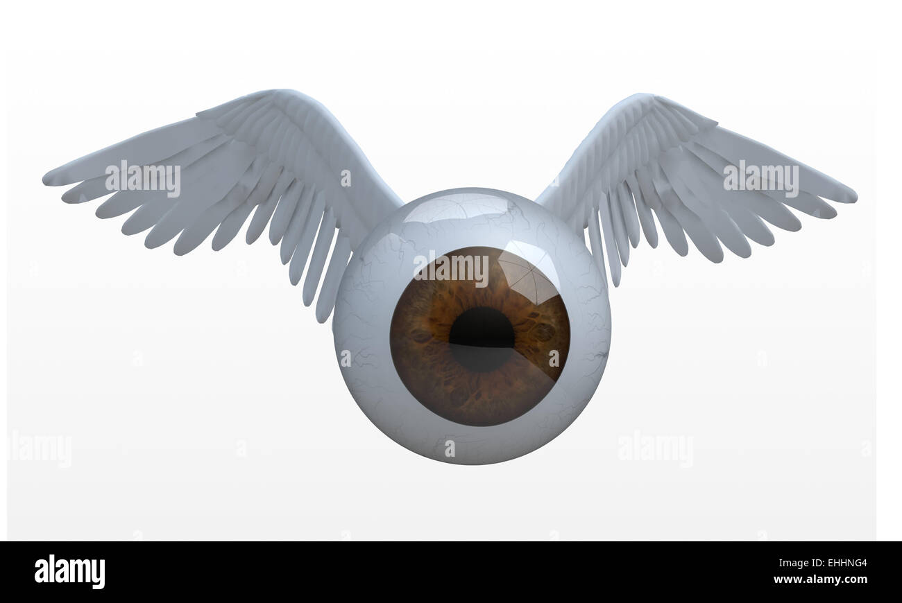 eye with wings that fly, 3d illustration Stock Photo - Alamy