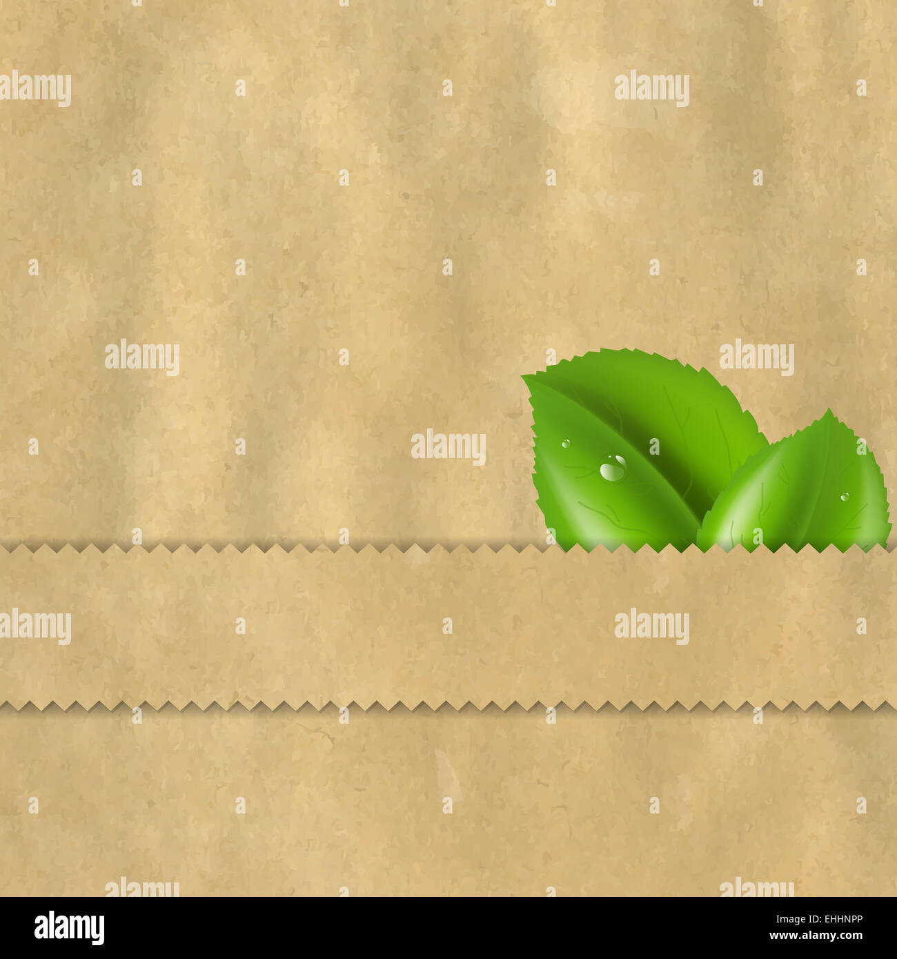 Old border paper leaves hi-res stock photography and images - Alamy