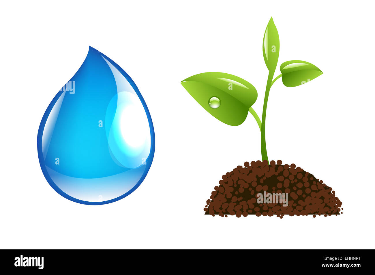 Water Drop And Sprout Stock Photo - Alamy