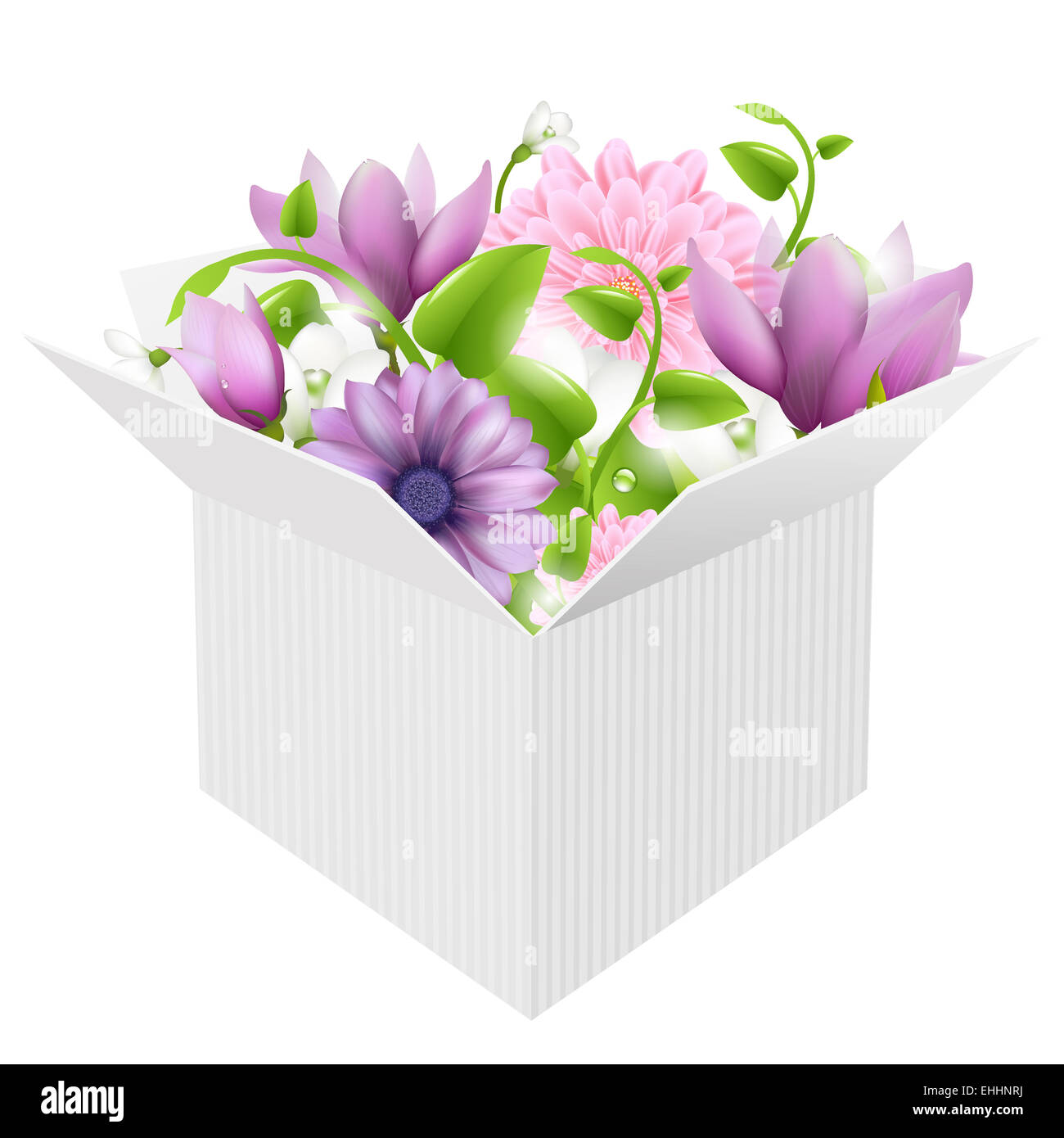 Flower box spring Cut Out Stock Images & Pictures - Alamy