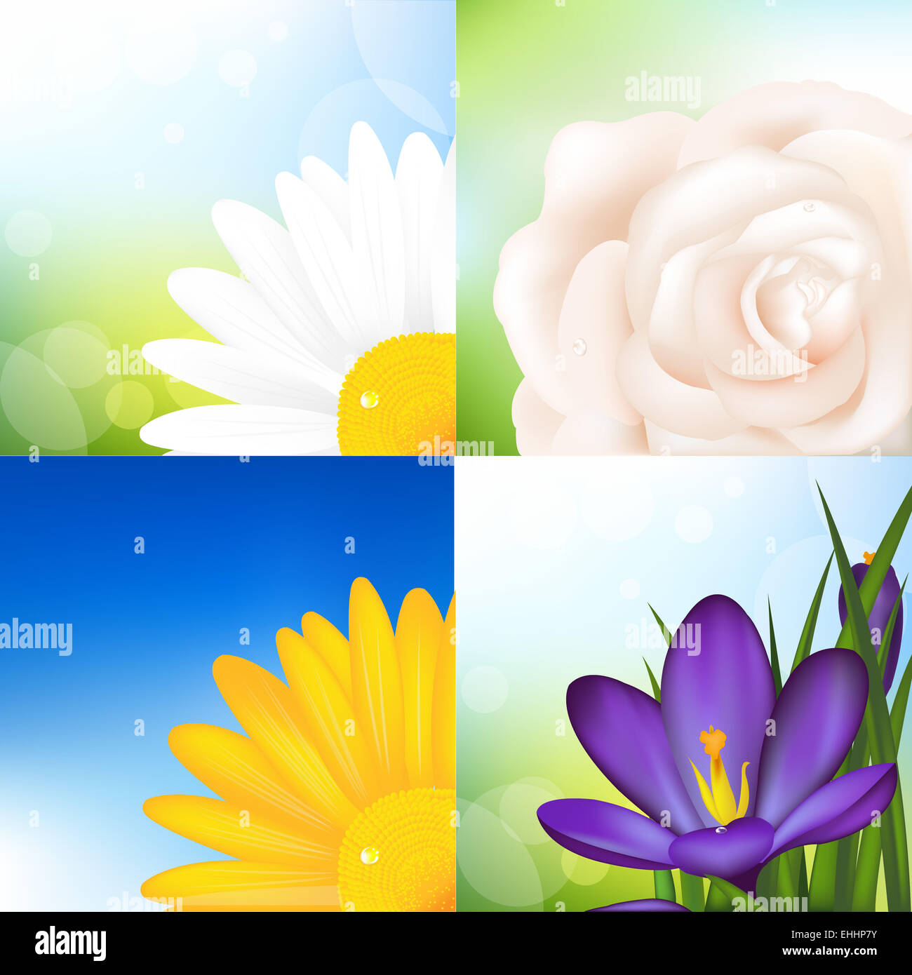 Set flowers hi-res stock photography and images - Alamy