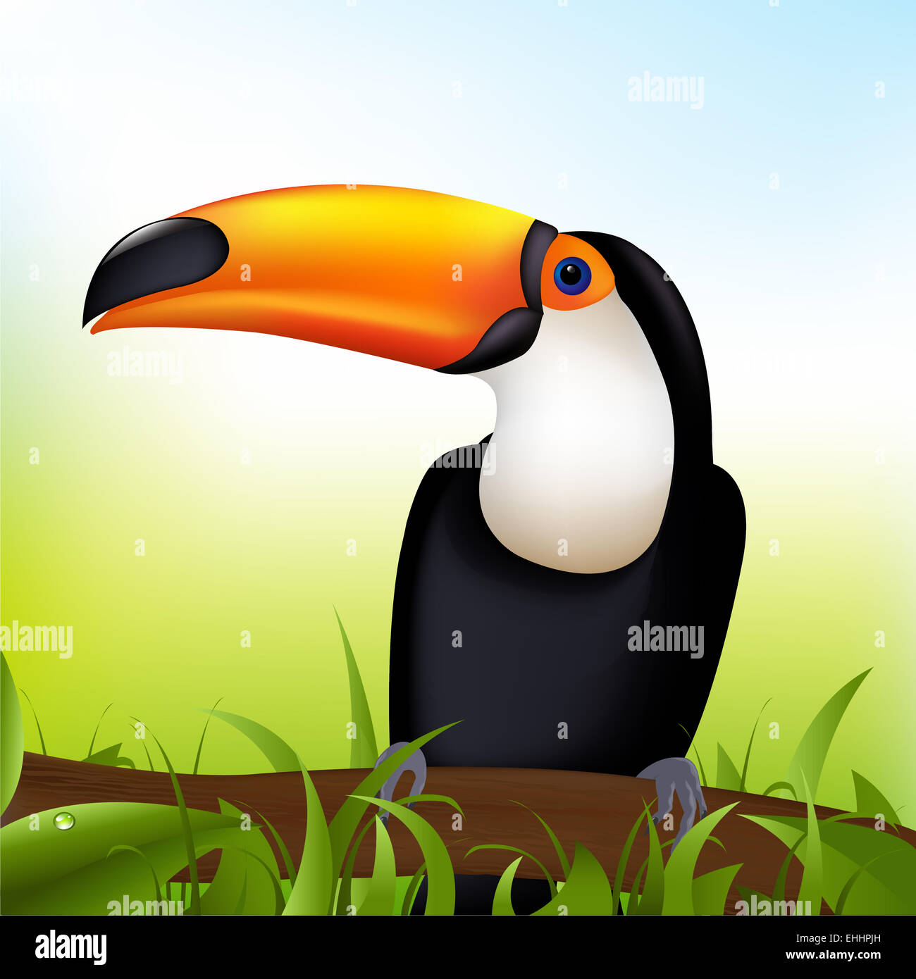 Toucan image hi-res stock photography and images - Alamy