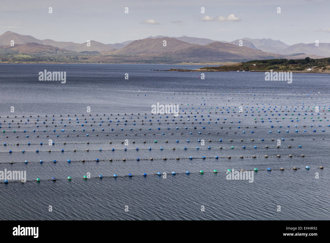 Coast of the Beara Peninsula Stock Photo - Alamy