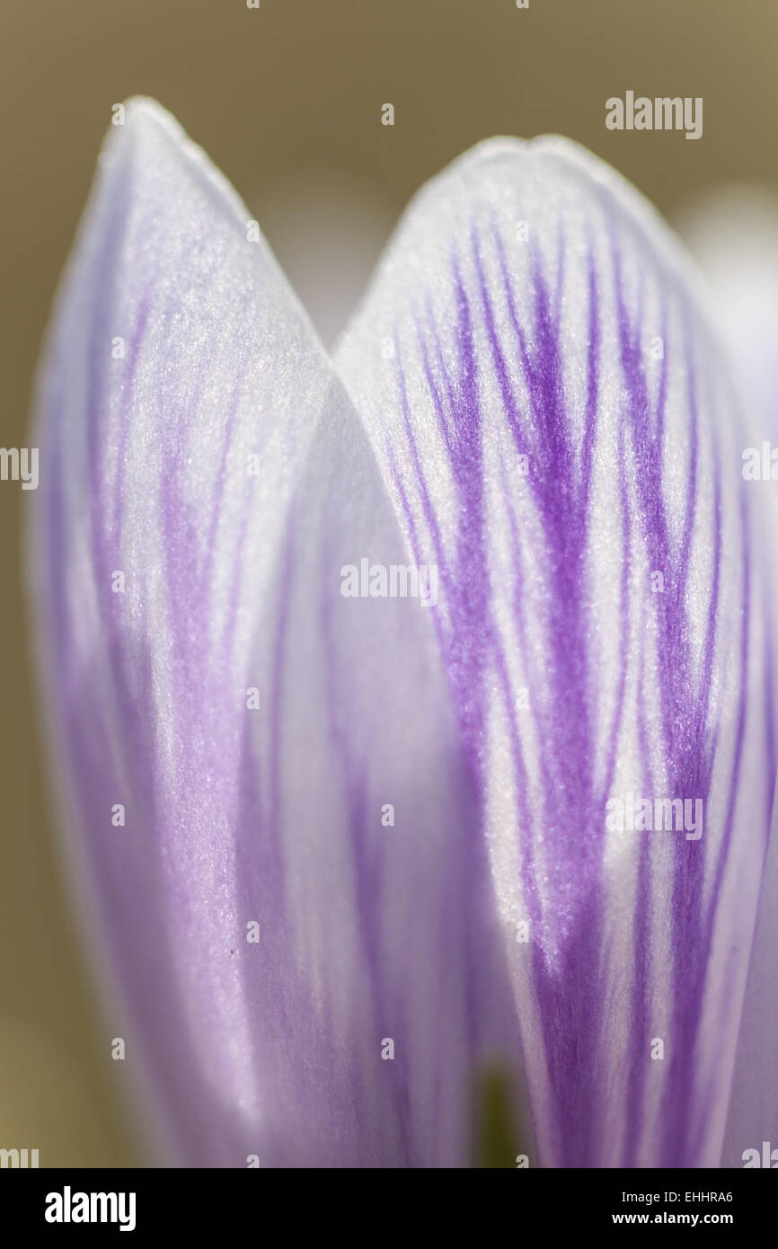 Hochfoto hi-res stock photography and images - Alamy